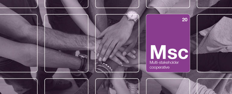 Multi-stakeholder cooperative