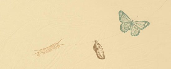 Next System Podcast Ep. 1